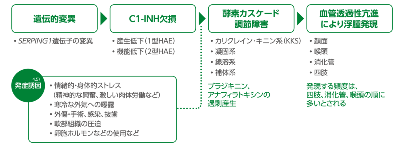 HAEを知る – CSL pro